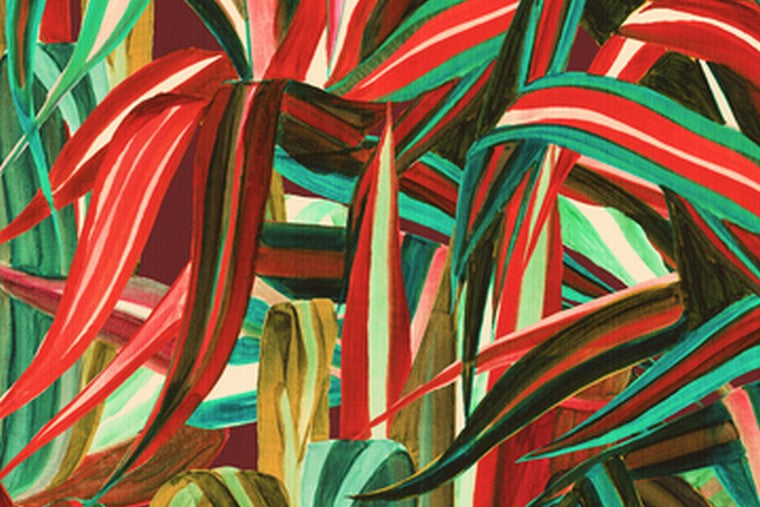 Papel Mural - Java - 72010