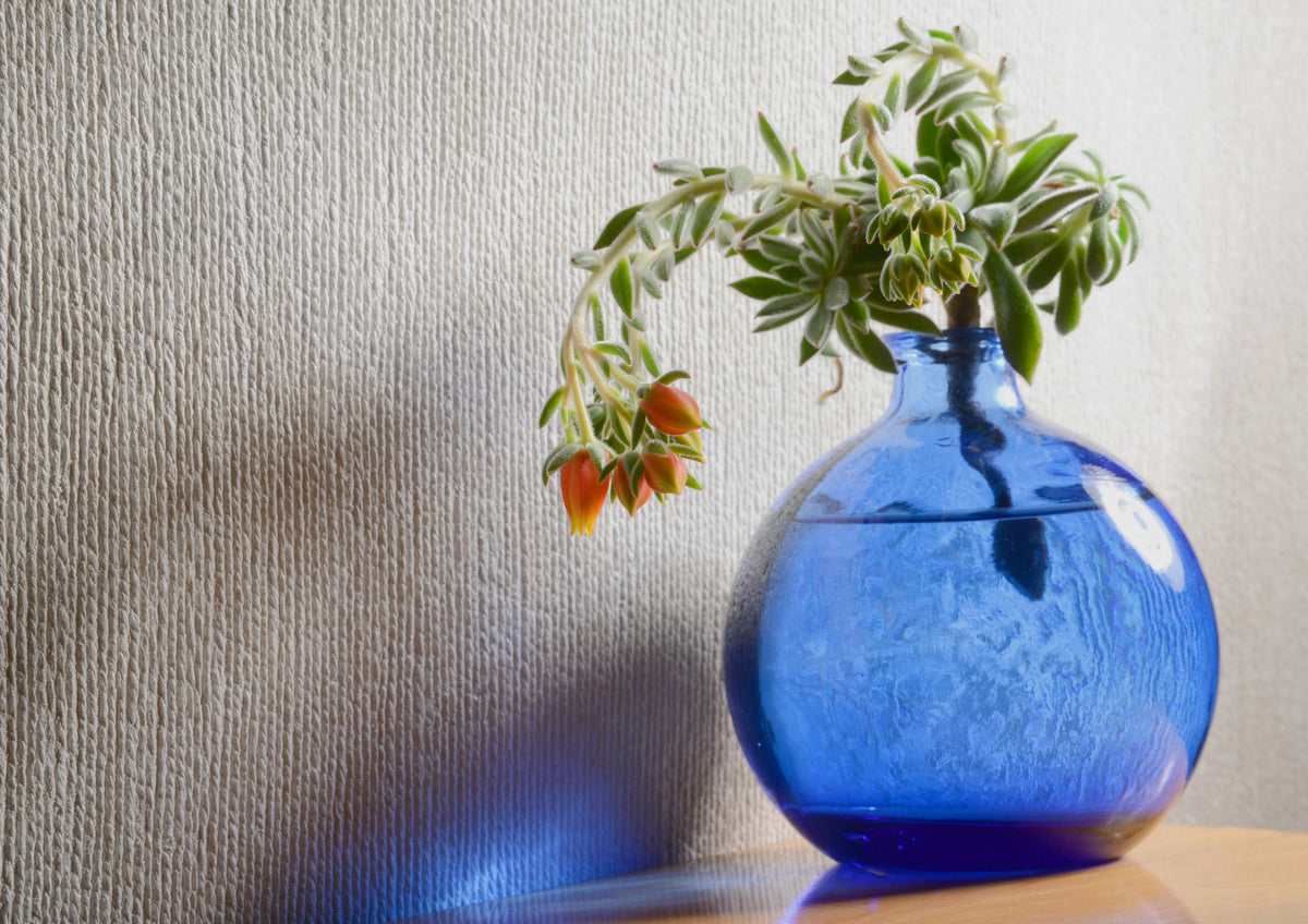 Papel Mural - Cañamo Blanco