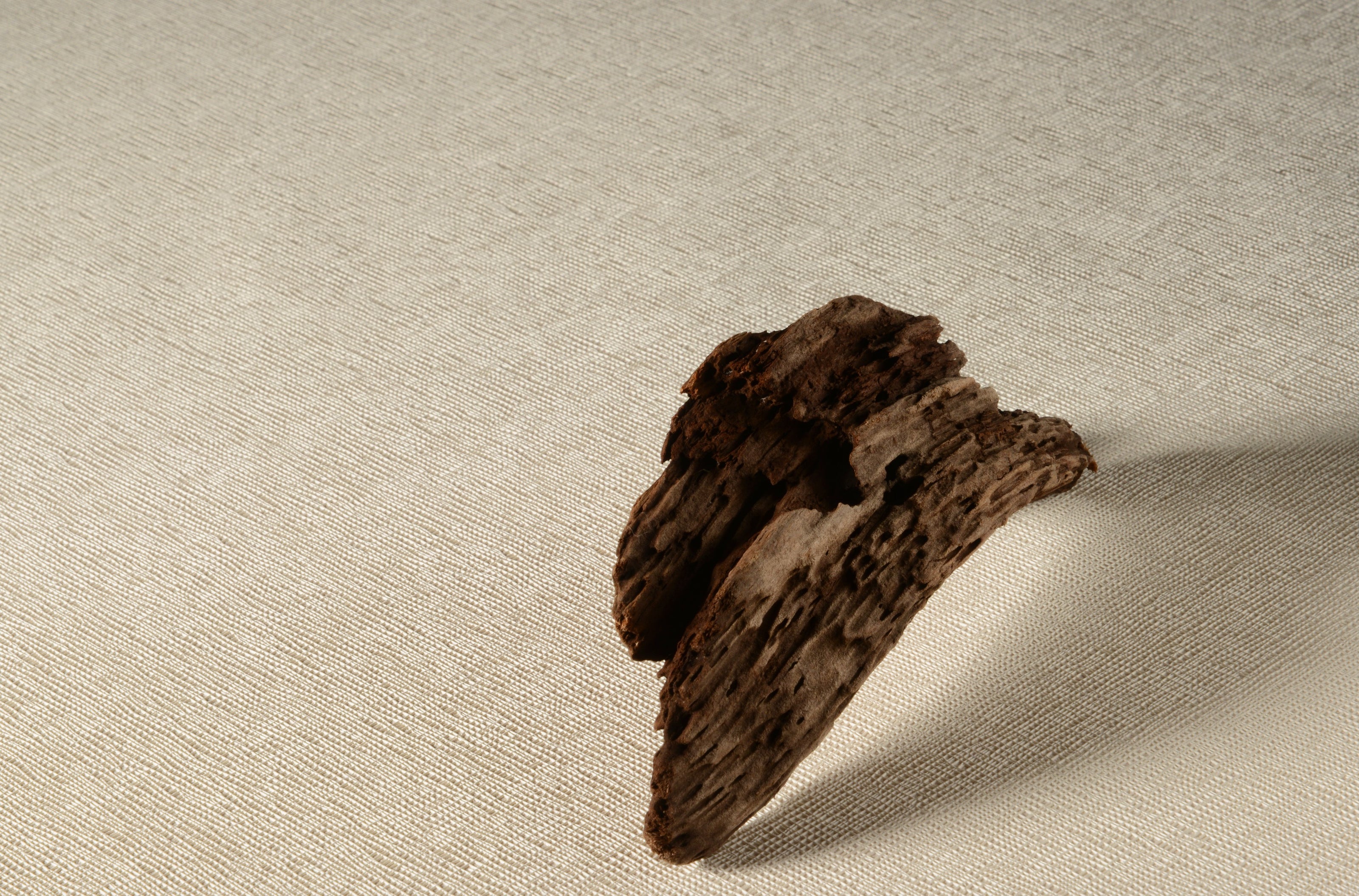 Papel Mural - Intime Blanco