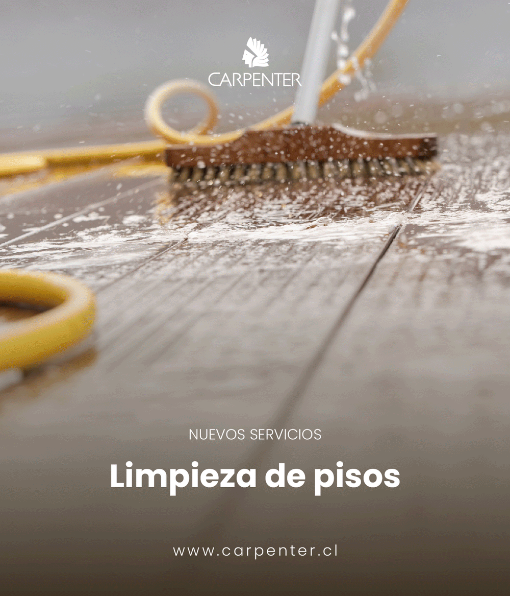 Carpenter | Diseño & Vanguardia